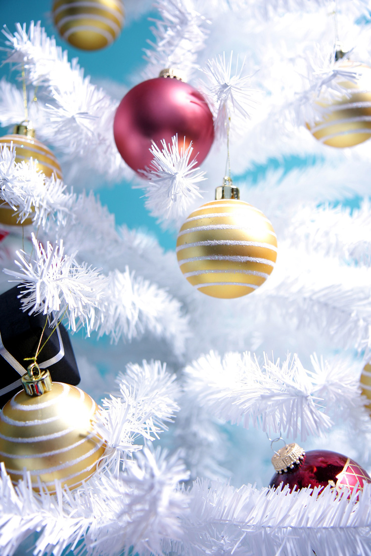 Tips to Making Your December Holiday Memorable | The Issels News Blog
